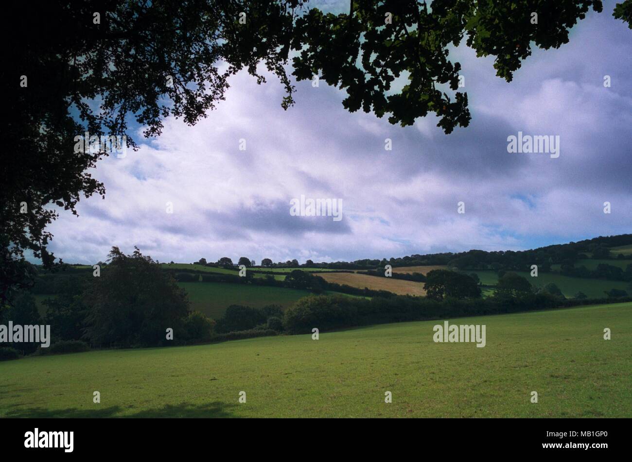 Somerset landscape in summer, England, Britain Stock Photo - Alamy