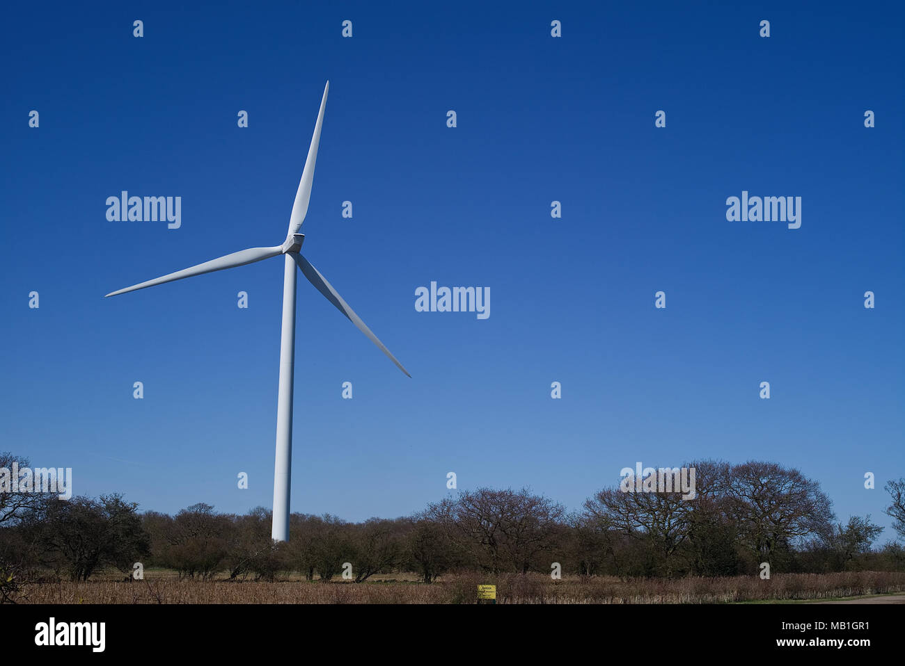 The Wind Turbines on farmland near Clacton on Sea Essex are the largest ...