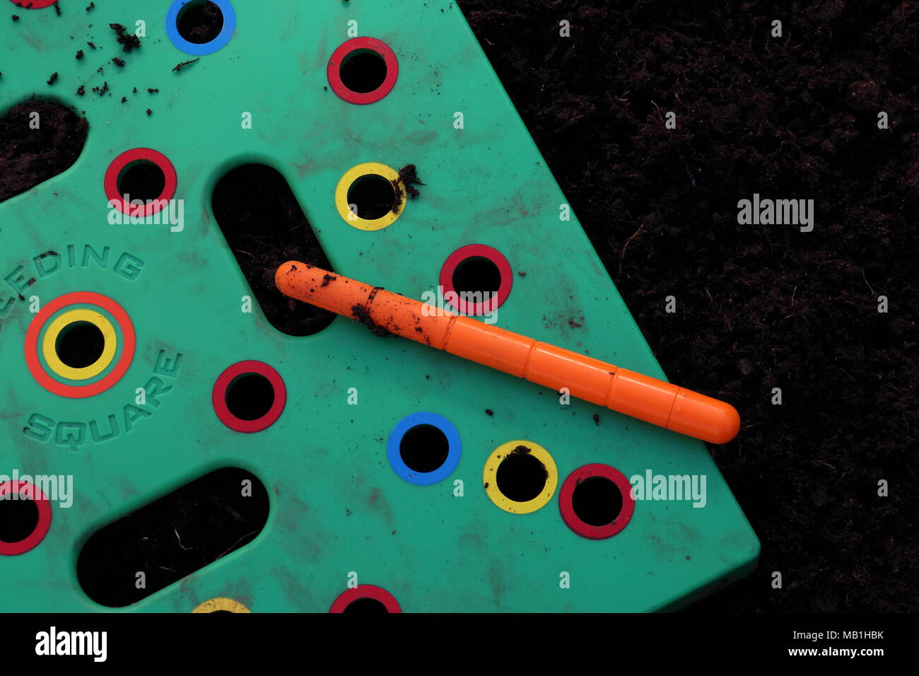 seeding square for square foot gardening on soil Stock Photo - Alamy