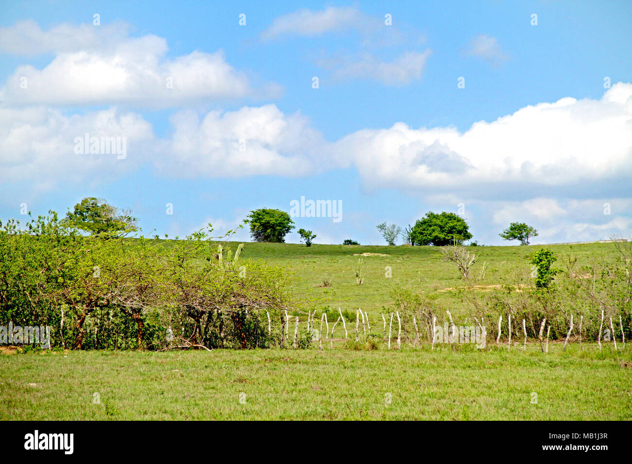 Lanscape, Paraiba, Brazil Stock Photo - Alamy