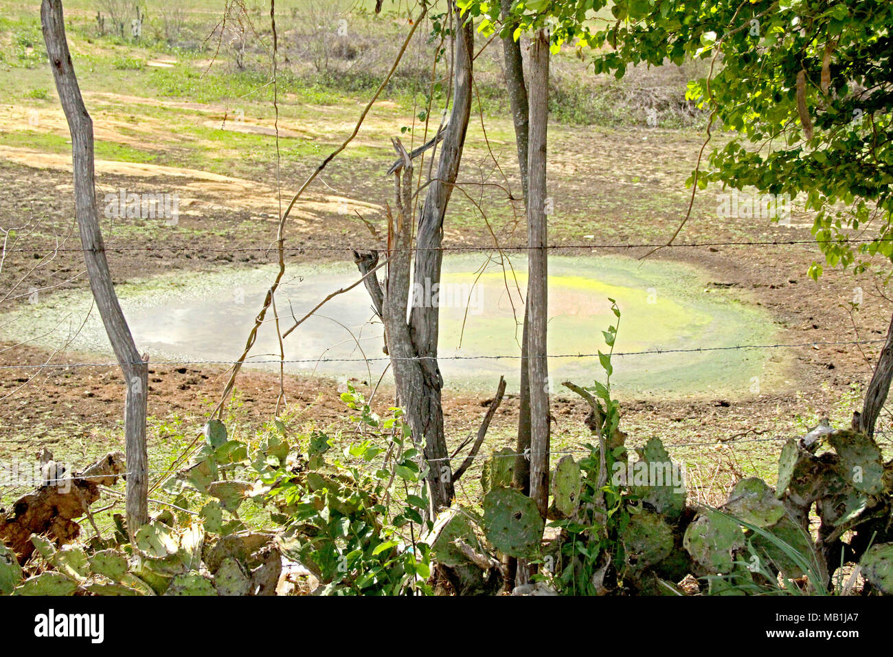 Wash out effect in the water hi-res stock photography and images - Alamy