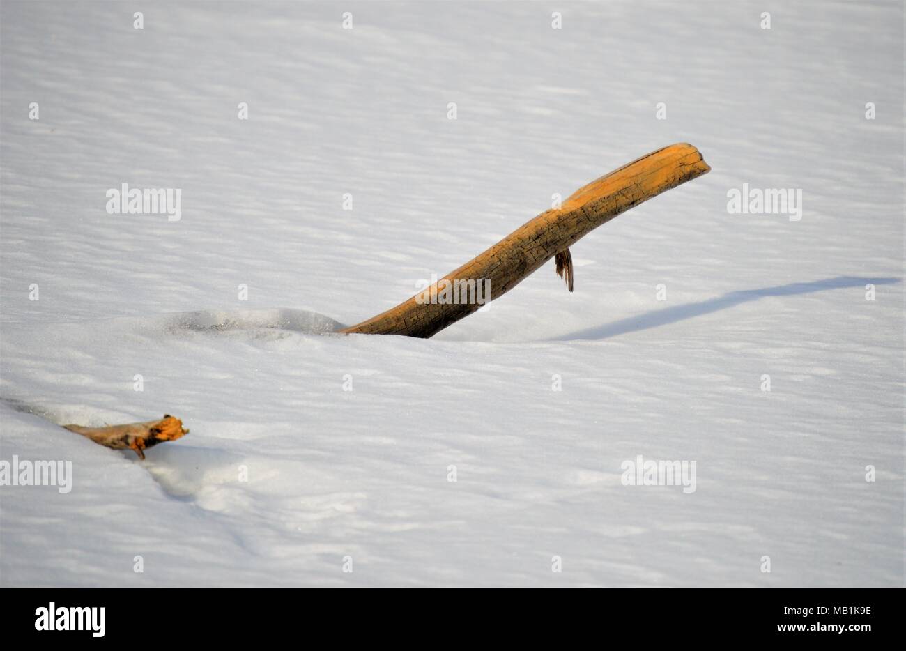 Things that protrude from frozen Eklutna Lake Stock Photo - Alamy