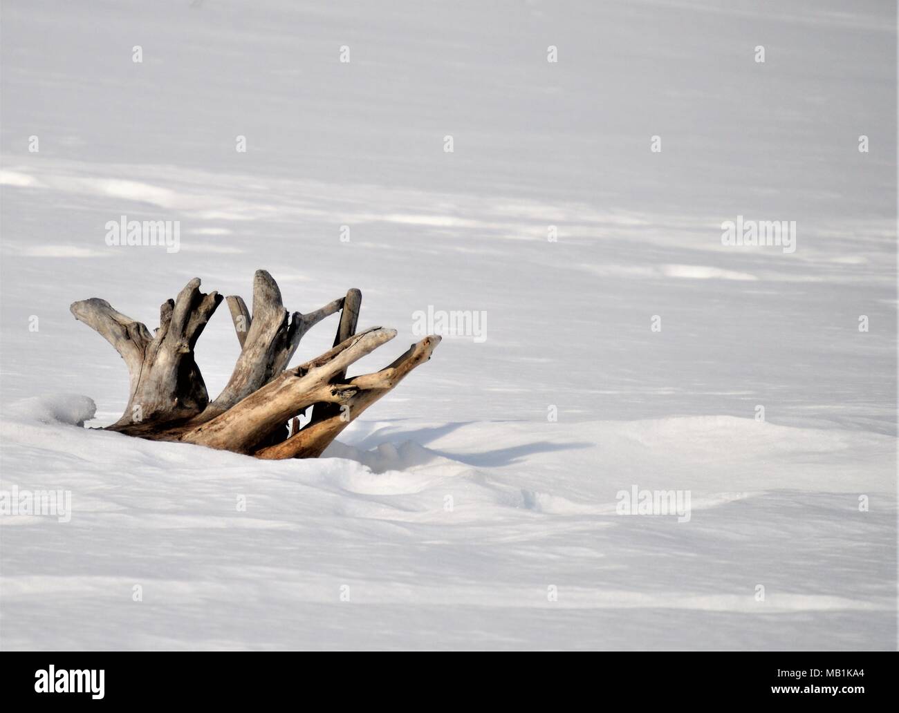 Things that protrude from frozen Eklutna Lake Stock Photo - Alamy