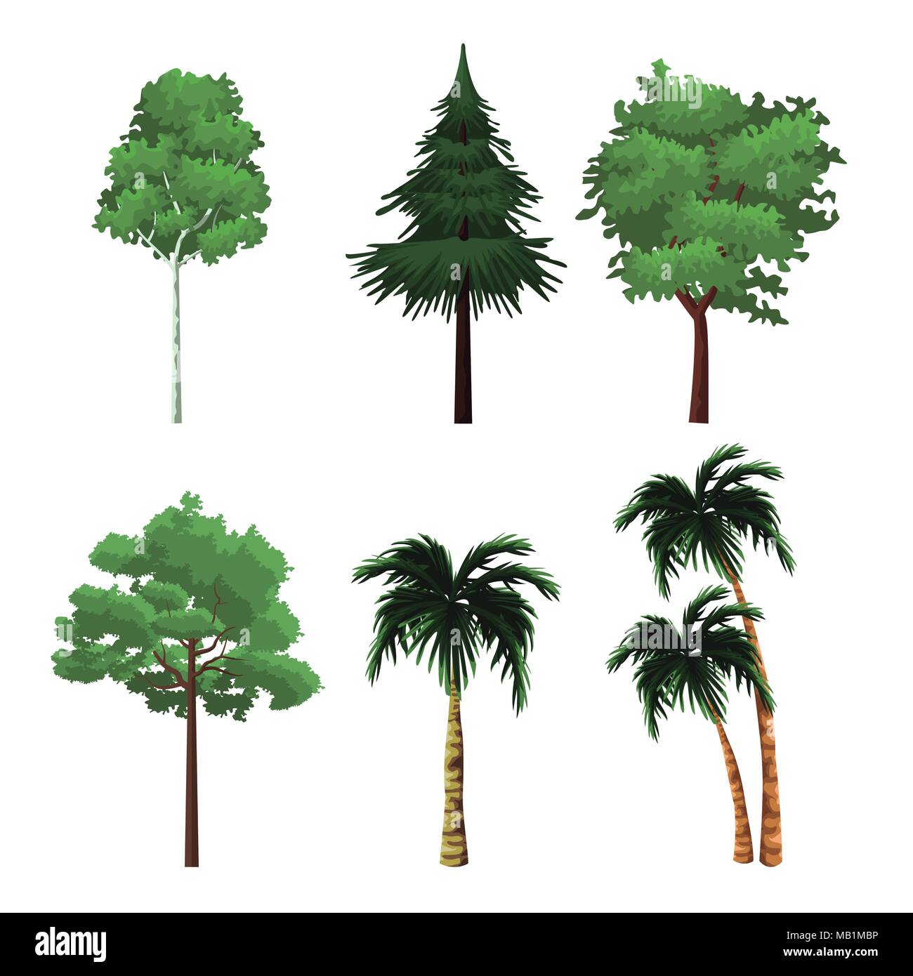 Sunlight scenic trees Cut Out Stock Images & Pictures - Alamy