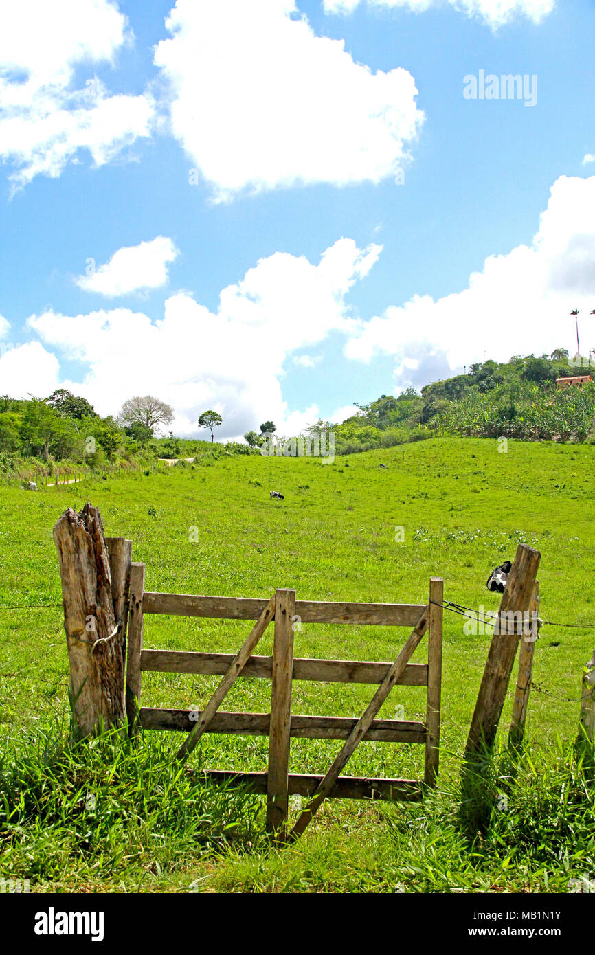 Bos gate hi-res stock photography and images - Alamy