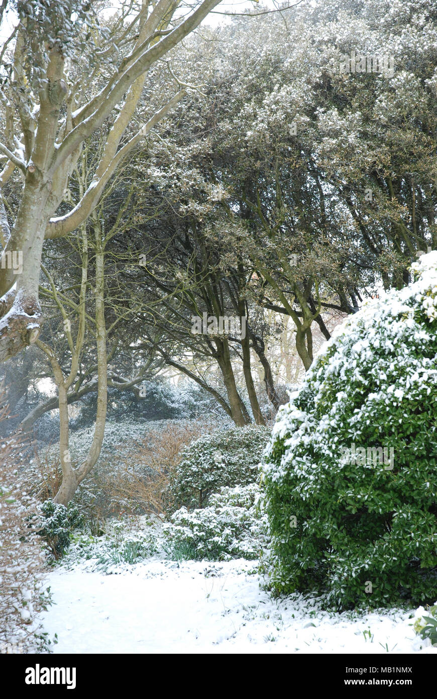 Snowscene hi-res stock photography and images - Alamy