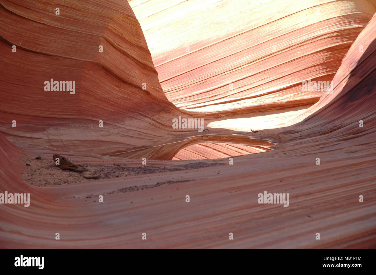 The Wave is a famous landmark known for it’s undulating shape and ...