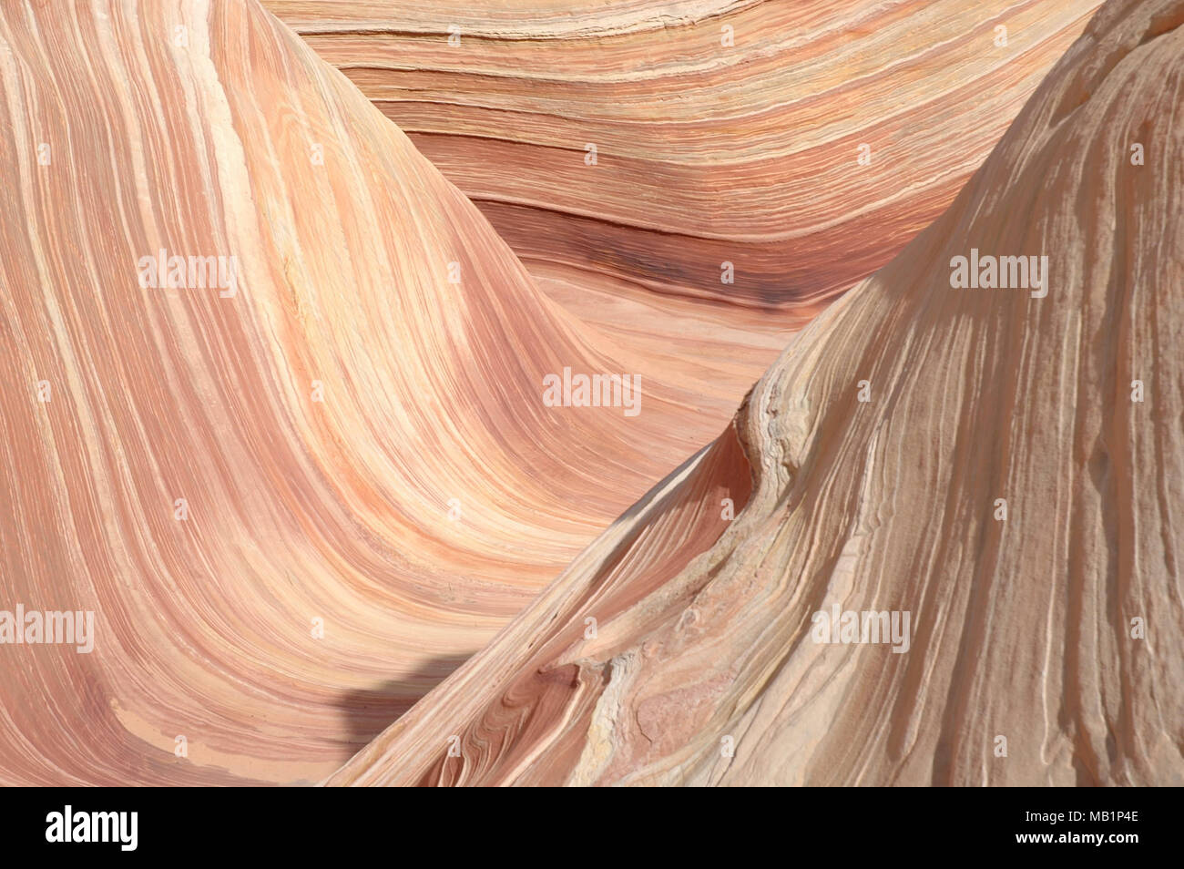 The Wave is a famous landmark known for it’s undulating shape and ...