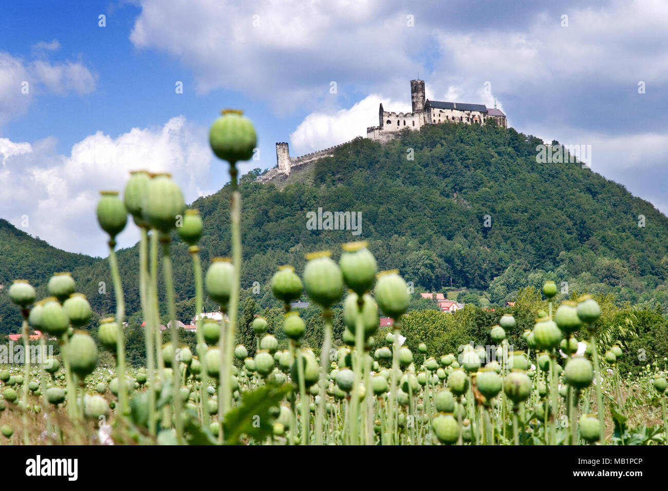 gothic medieval castle Bezdez from 1264, Liberec region, North Bohemia ...
