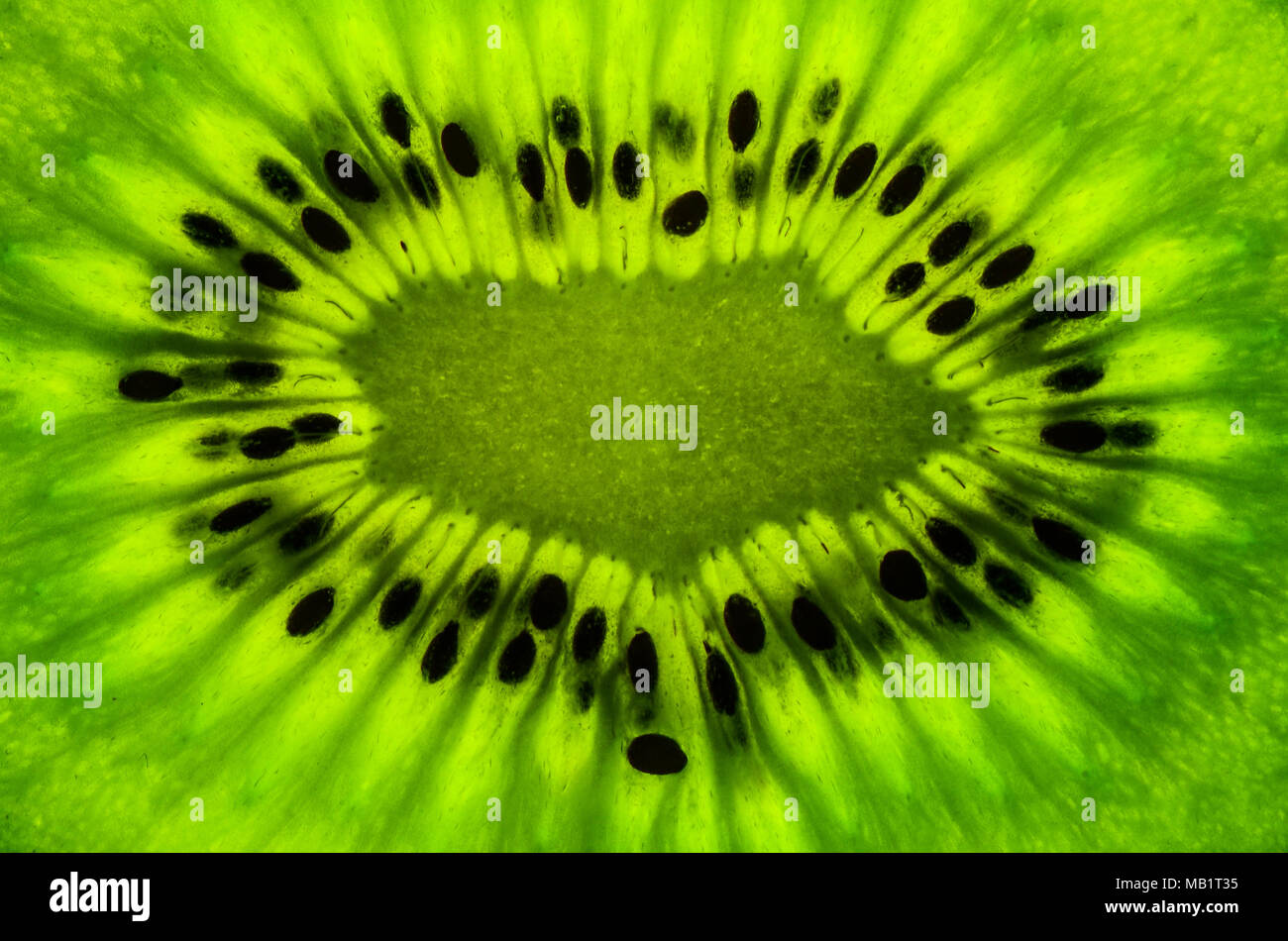 Back illuminated close up of kiwi fruit slice Stock Photo - Alamy