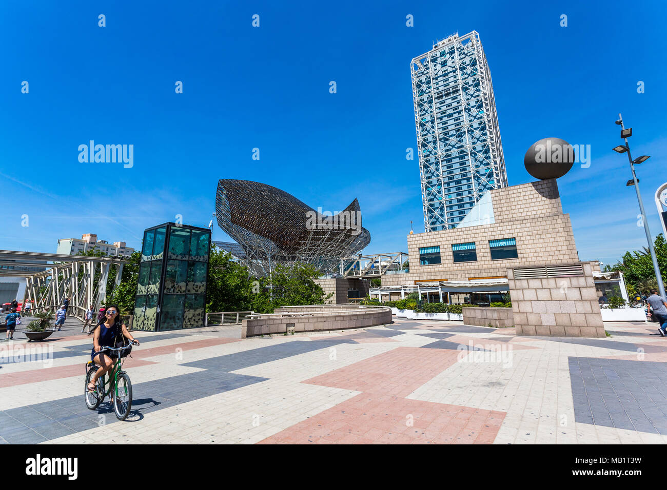 Pez dorado pez dorado hi-res stock photography and images - Alamy