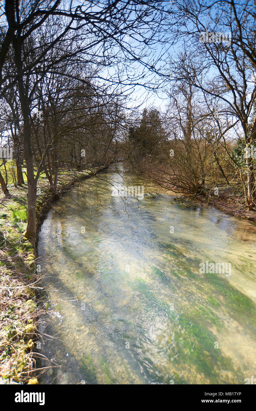 Rainbow trout underwater uk hi-res stock photography and images - Alamy