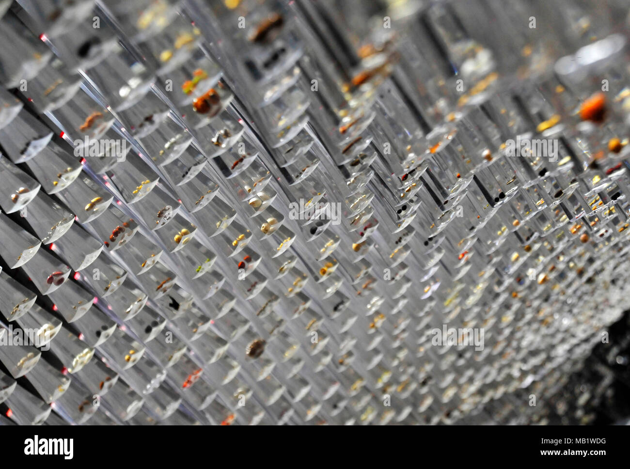 UK pavilion at the Shanghai World Expo 2010, also known as the "Seed ...