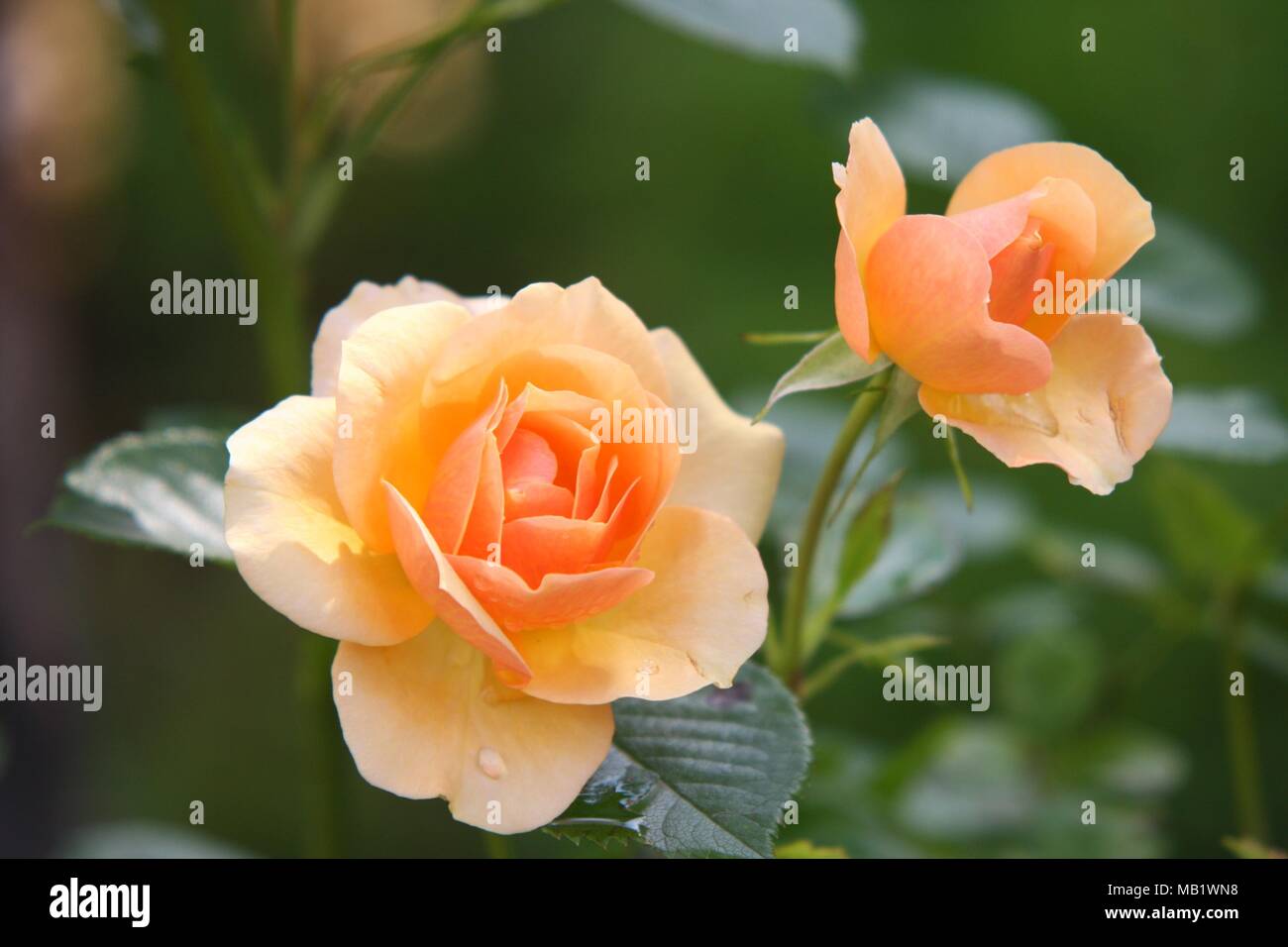 Time images hi-res stock photography and images - Alamy