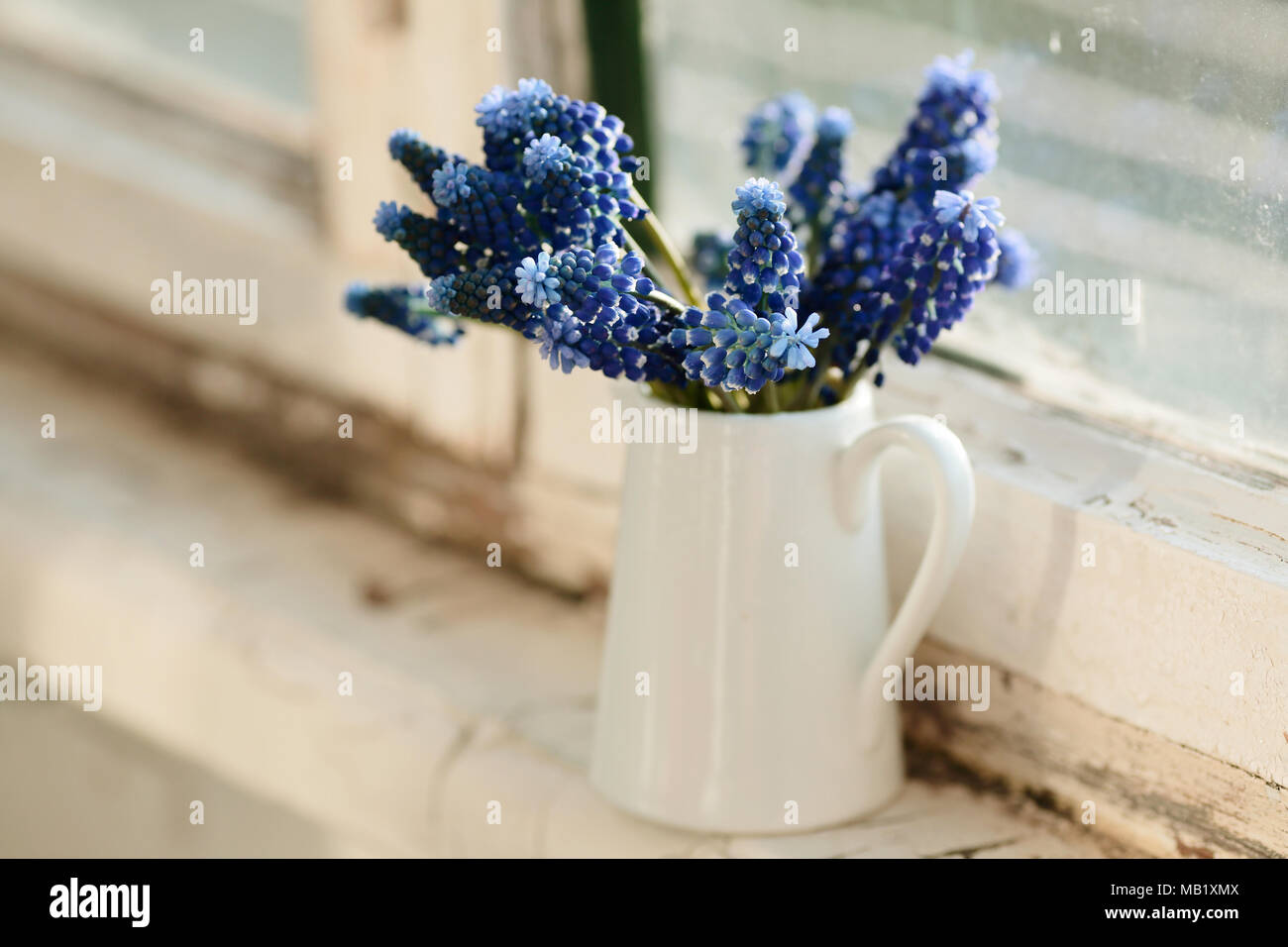 Blue flowers on vintage hi-res stock photography and images - Alamy