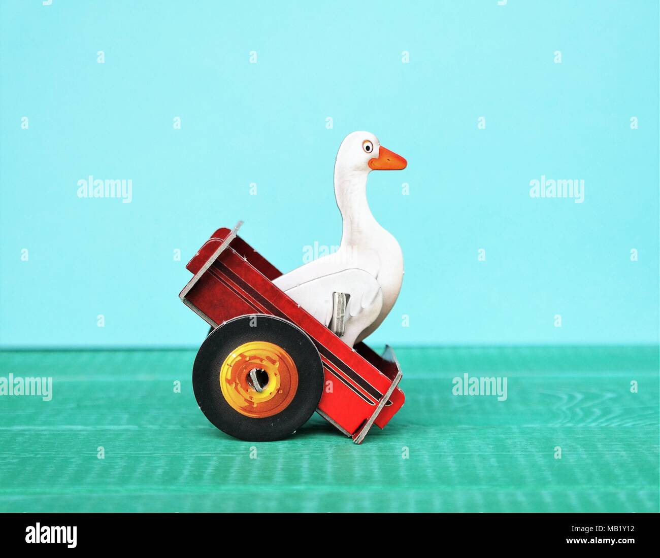Funny goose hi-res stock photography and images - Alamy