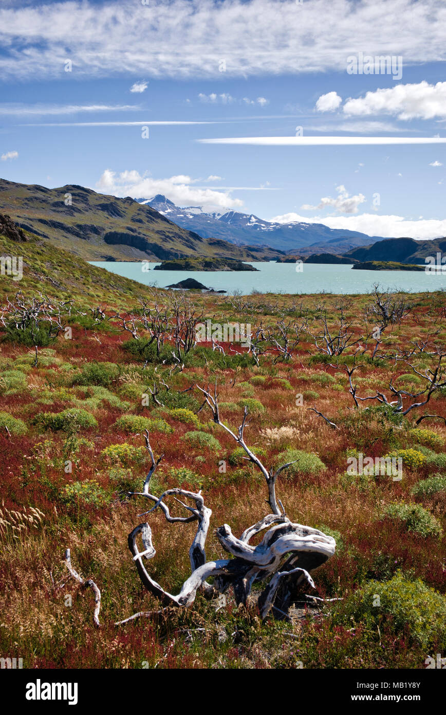 Exploring chile hi-res stock photography and images - Alamy