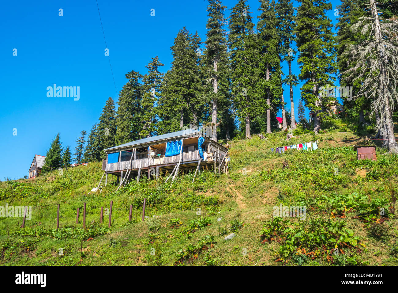Huts in Bakhmaro village, one of the most beautiful mountain resorts of ...