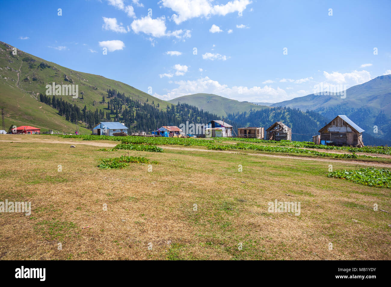 Bakhmaro village, one of the most beautiful mountain resorts of Georgia ...