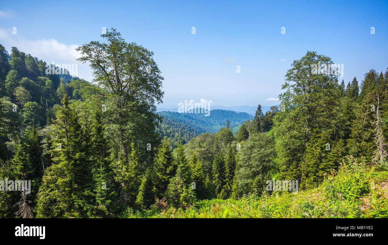 Bakhmaro village, one of the most beautiful mountain resorts of Georgia ...