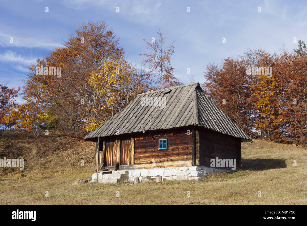 Wooden cabin and trees with Autumn colour, Tara National Park, Serbia ...