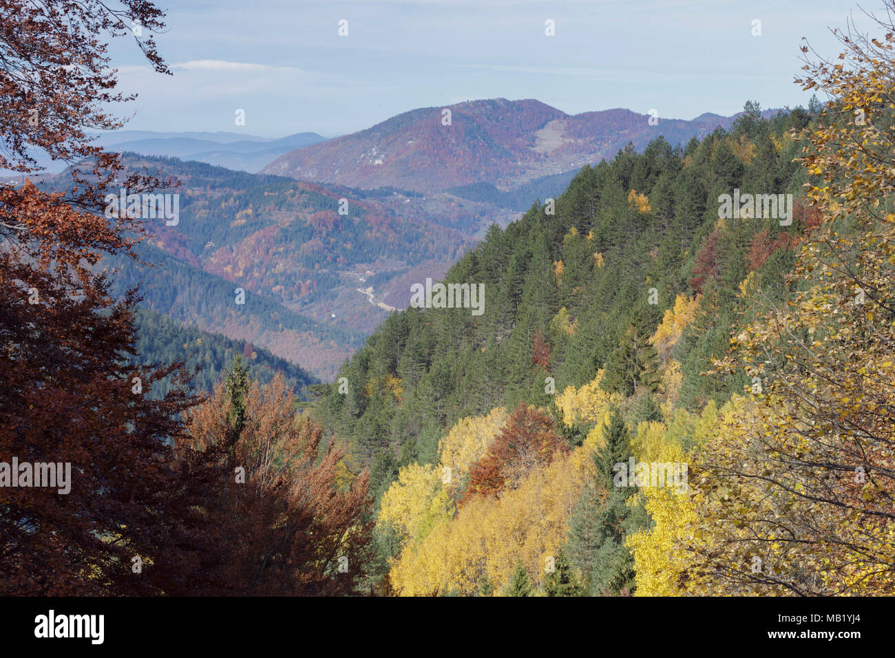Serbian national colours hi-res stock photography and images - Alamy