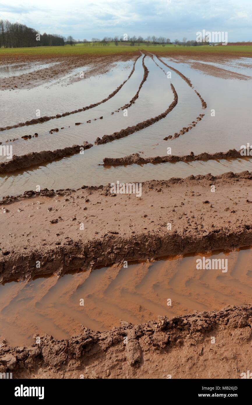 Flooded field, Germany, near city of Günzerode, 05. April 2018. Photo ...
