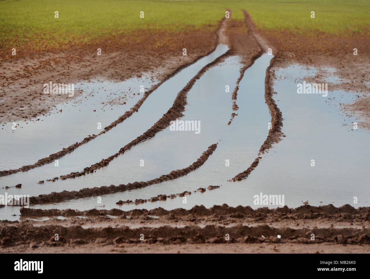 Flooded field, Germany, near city of Günzerode, 05. April 2018. Photo ...