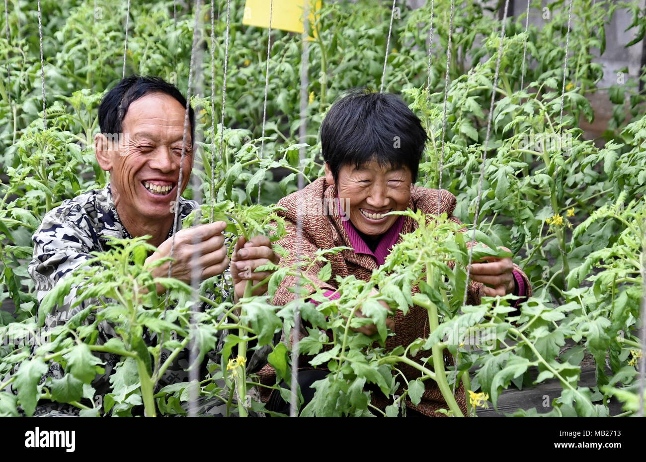 Kangzhuang hi-res stock photography and images - Alamy