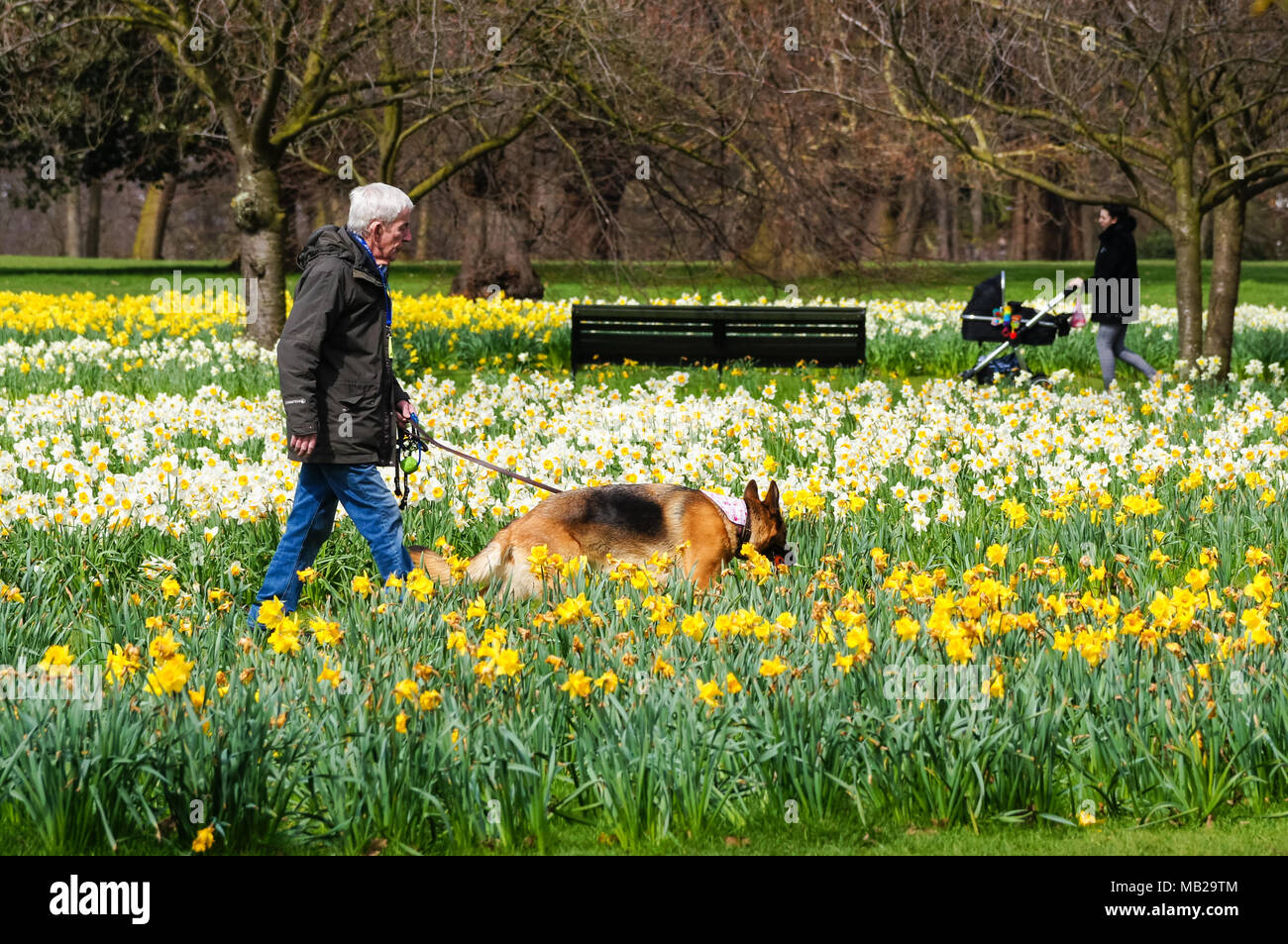 People enjoy spring weather at Greenwich Park, London, England, United ...