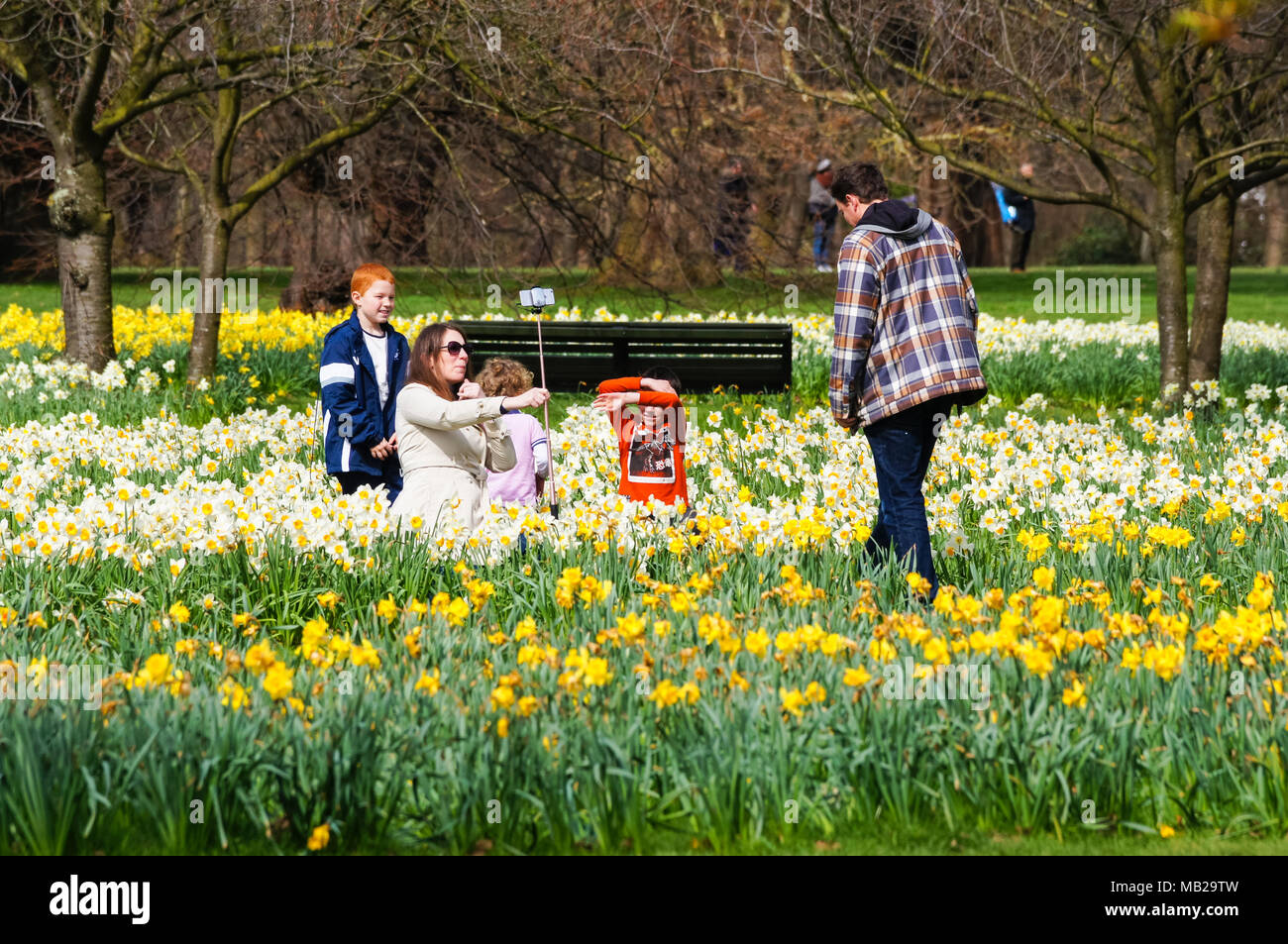 People enjoy spring weather at Greenwich Park, London, England, United ...