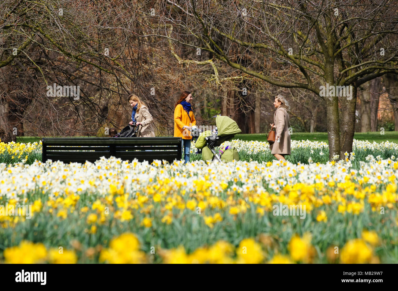 People enjoy spring weather at Greenwich Park, London, England, United ...