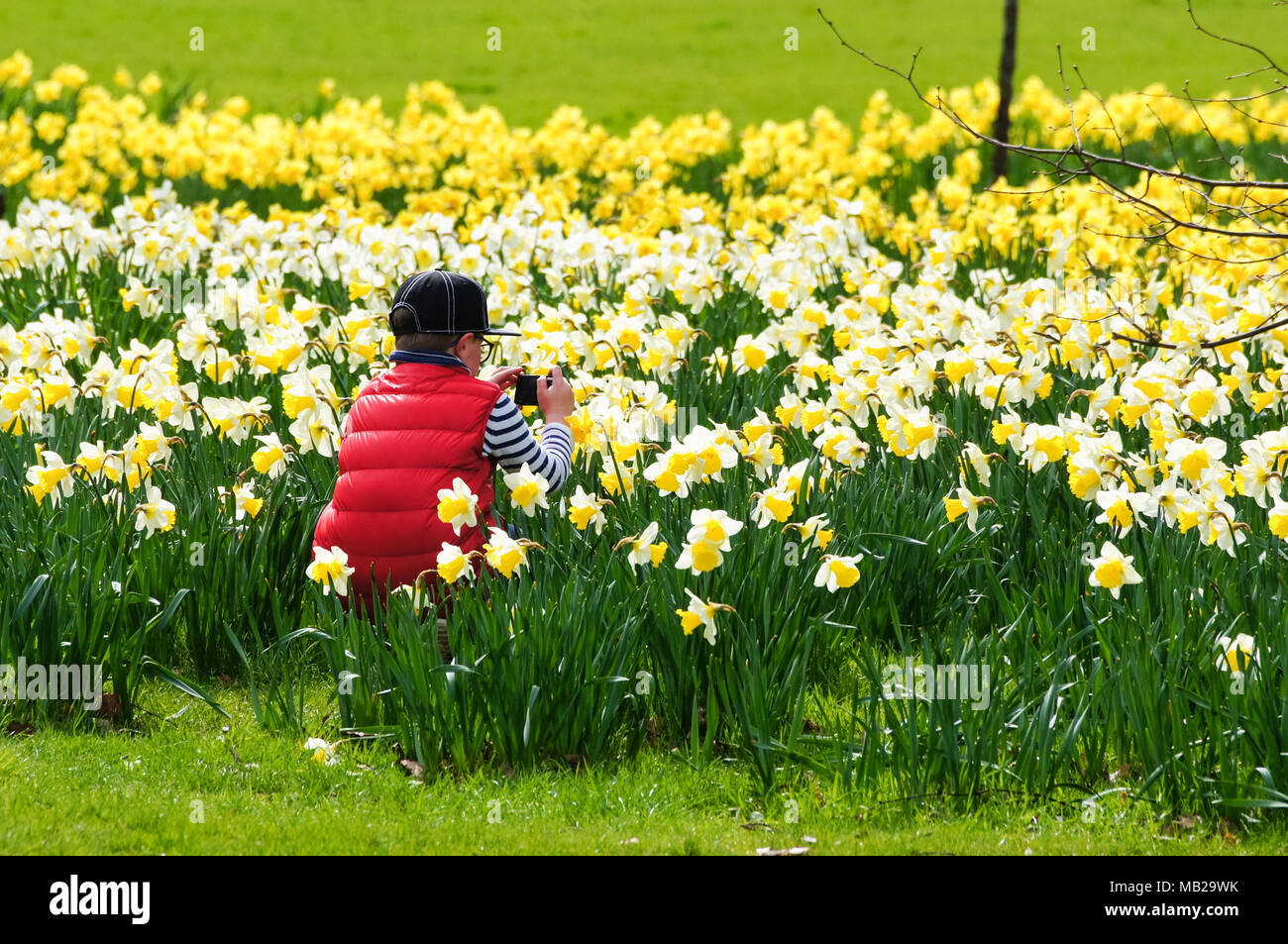 People enjoy spring weather at Greenwich Park, London, England, United ...