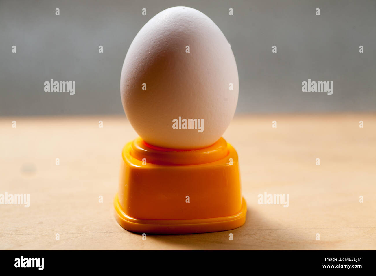 Egg on the plastic orange egg stand Stock Photo - Alamy