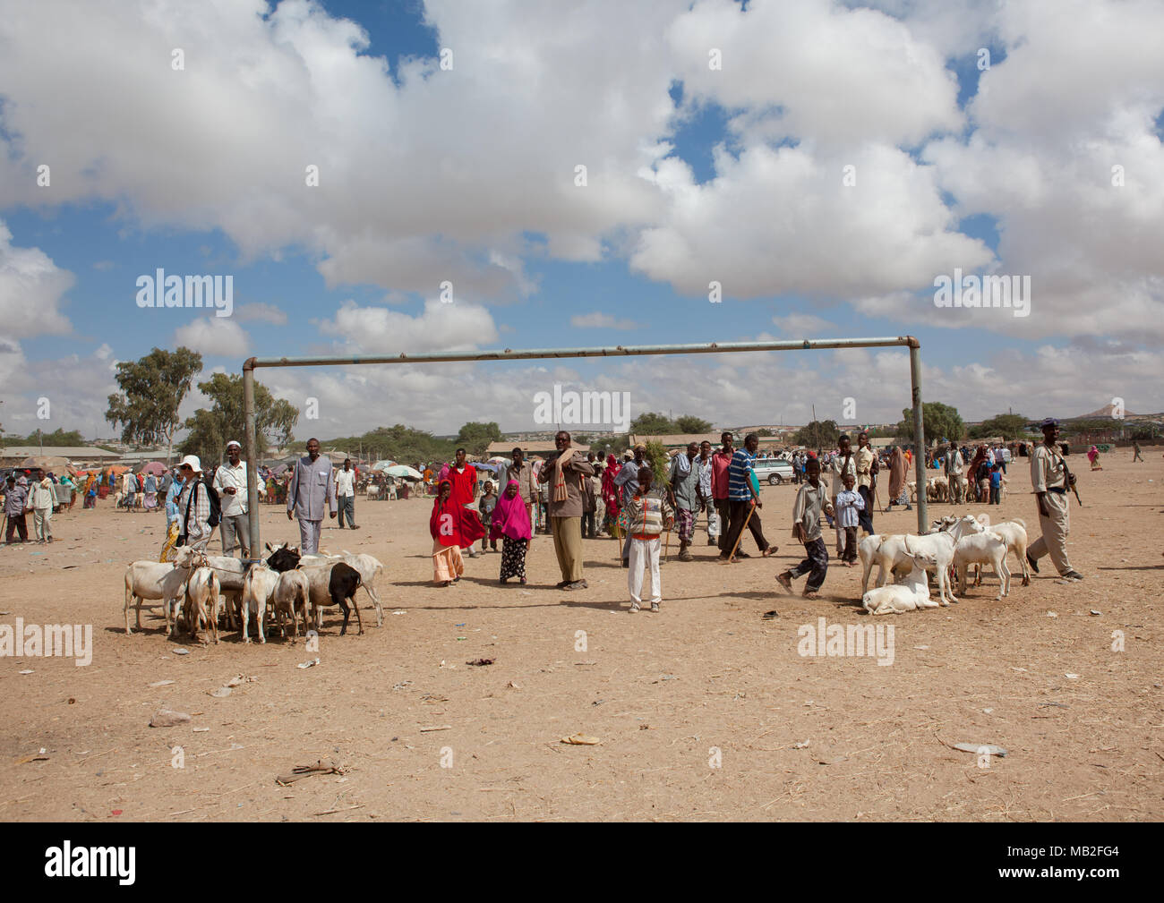 Somali people in the livestock market, Woqooyi Galbeed region, Hargeisa ...