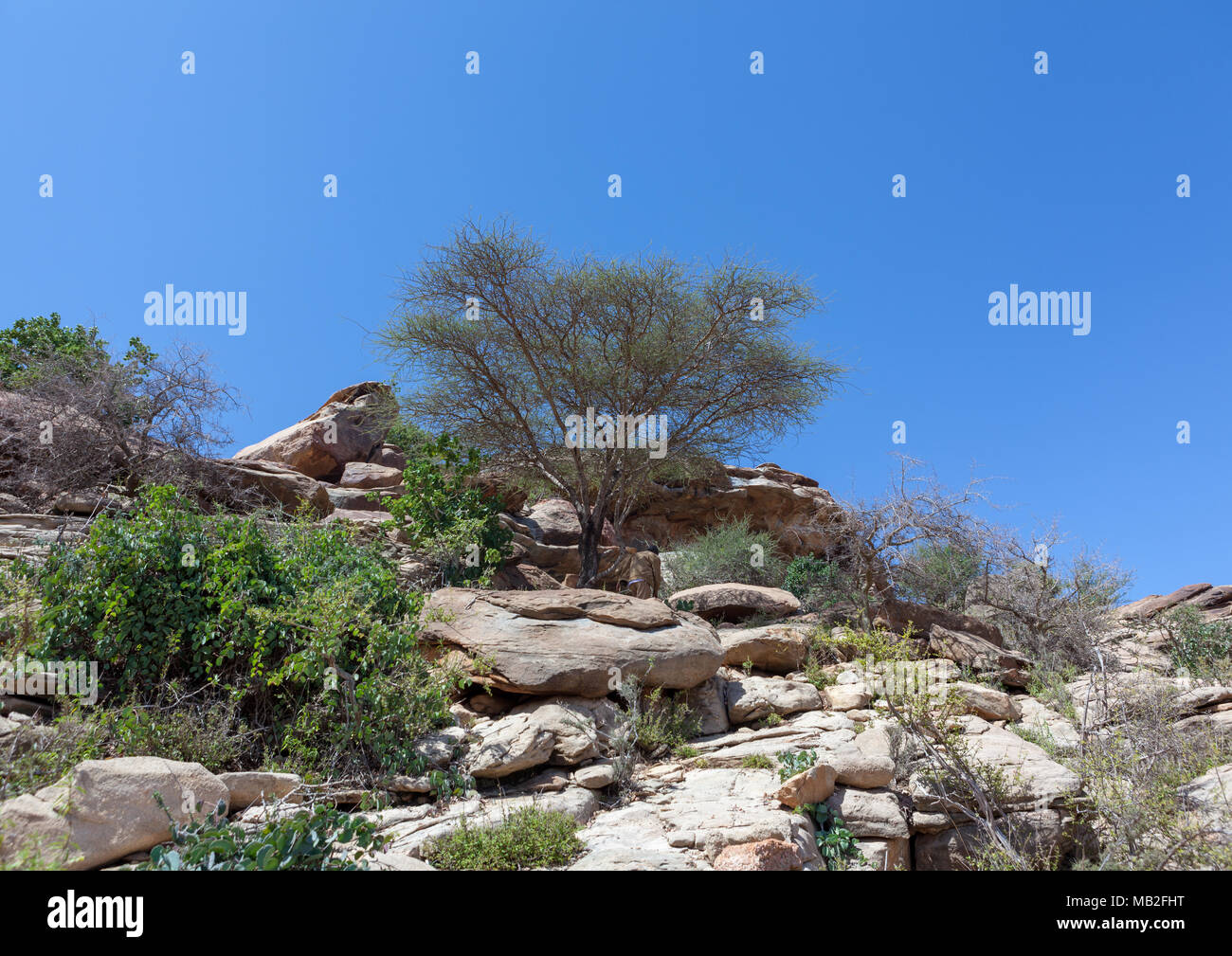 Landscape of the las geel area, Woqooyi Galbeed region, Hargeisa ...