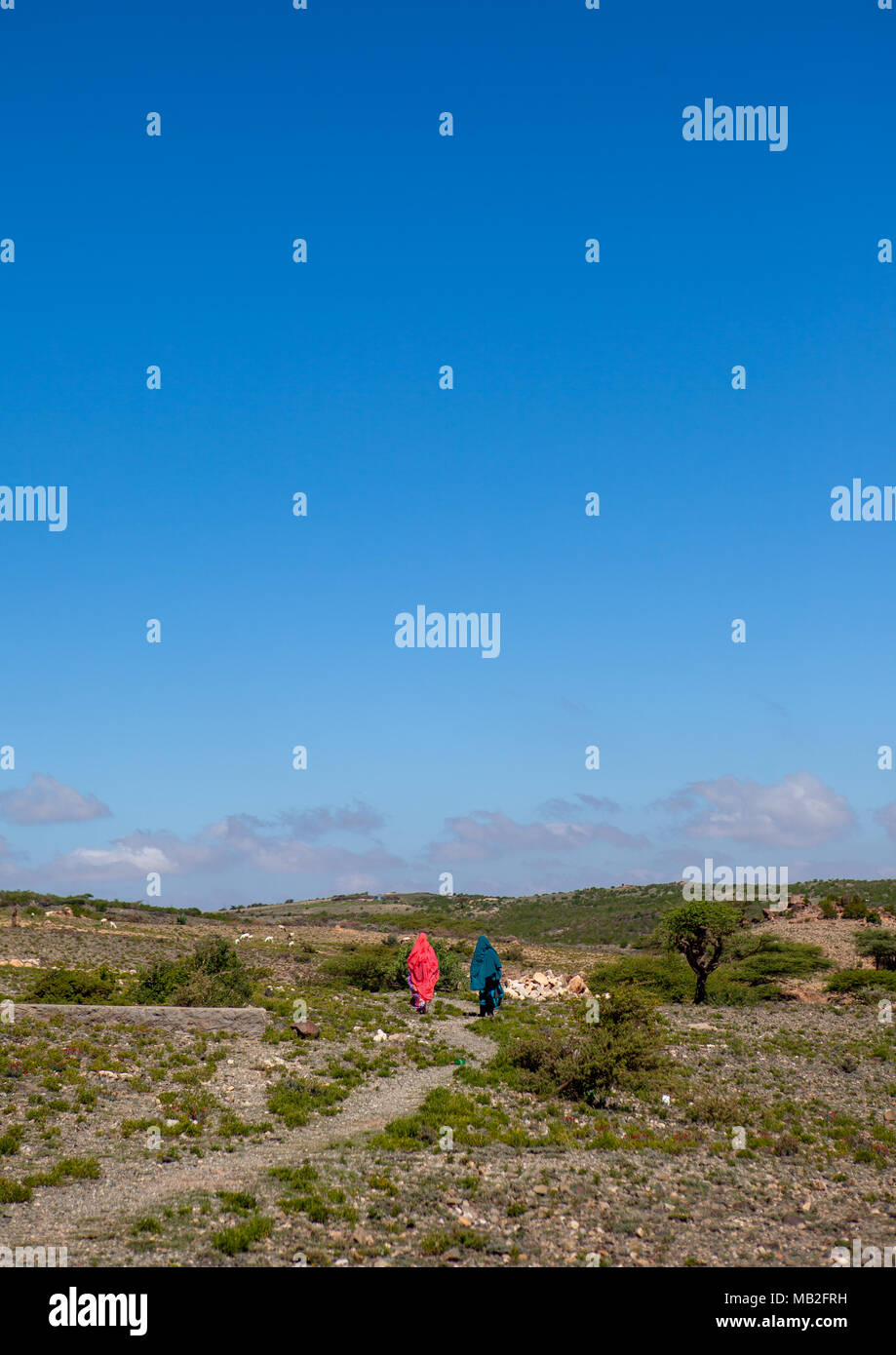 Somali women in sheikh mountains, Togdheer, Sheikh, Somaliland Stock ...