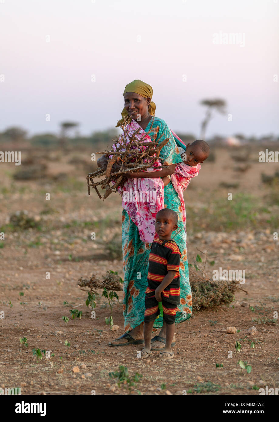 Portrait of a somali mother with her children collecting wood, Woqooyi ...