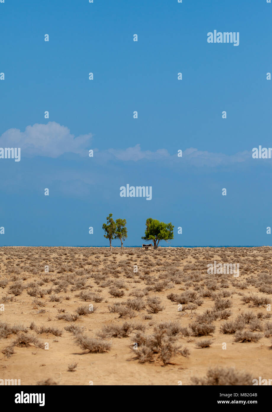 Aqal soomaali somali hut in hi-res stock photography and images - Alamy