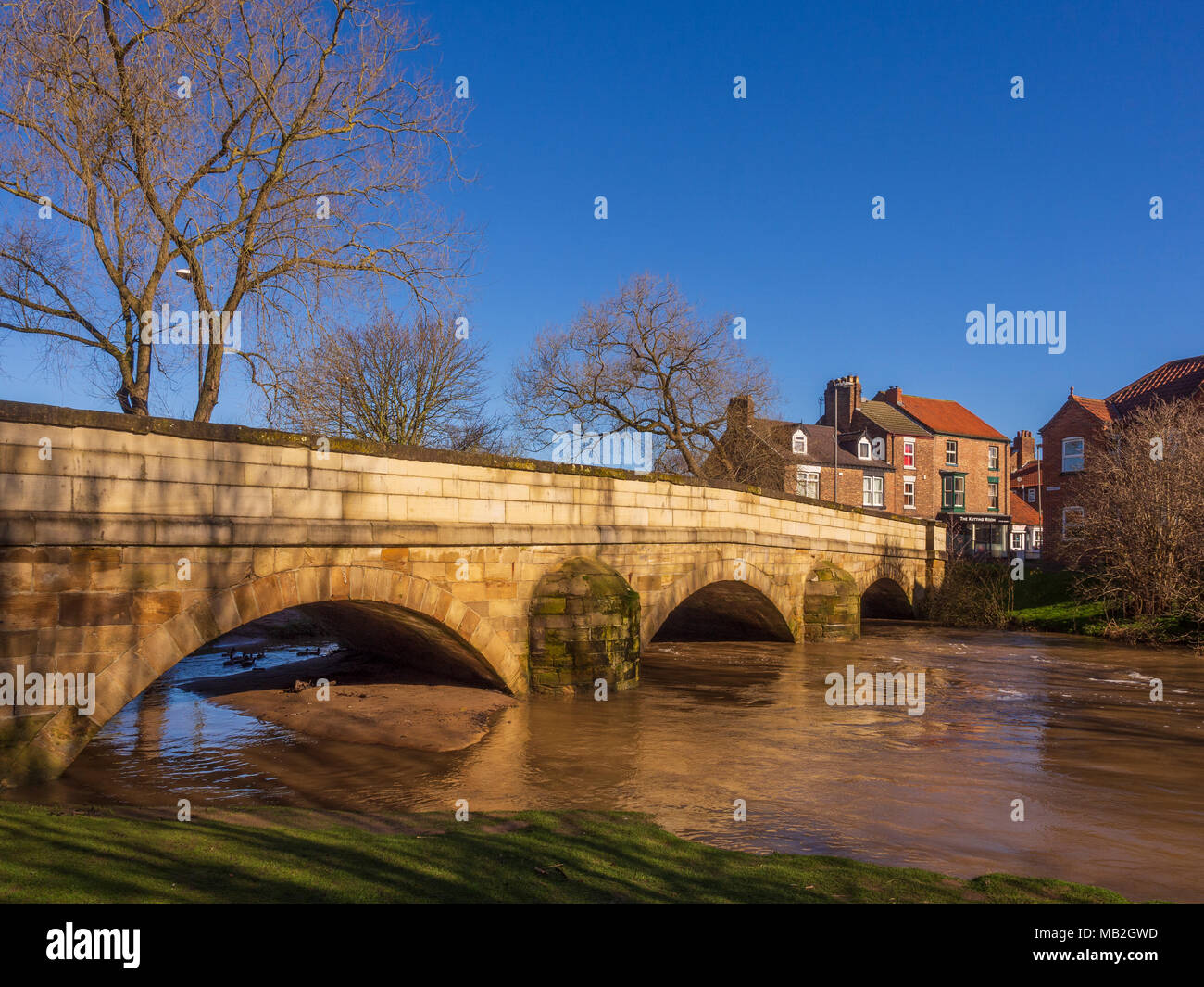 High water level at Cod Beck, Thirsk, North Yorkshire, UK Stock Photo ...