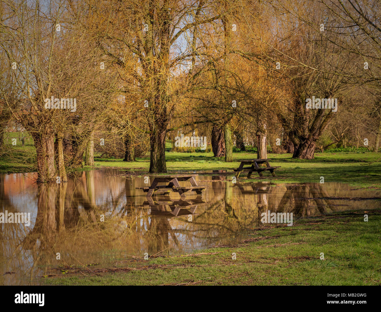 Flooded park land due to High water level at Cod Beck, Thirsk, North ...