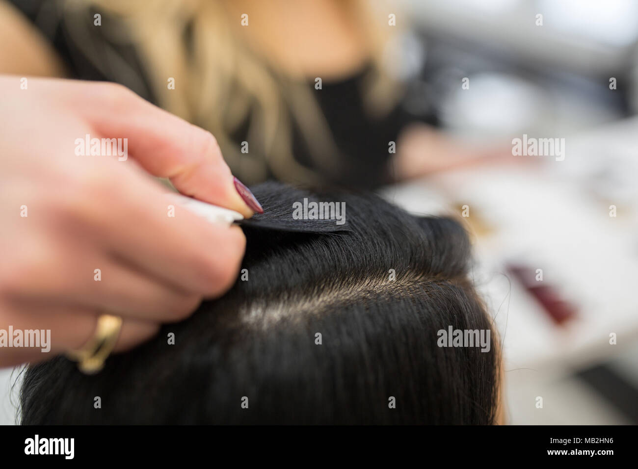Hair color sample hi-res stock photography and images - Alamy