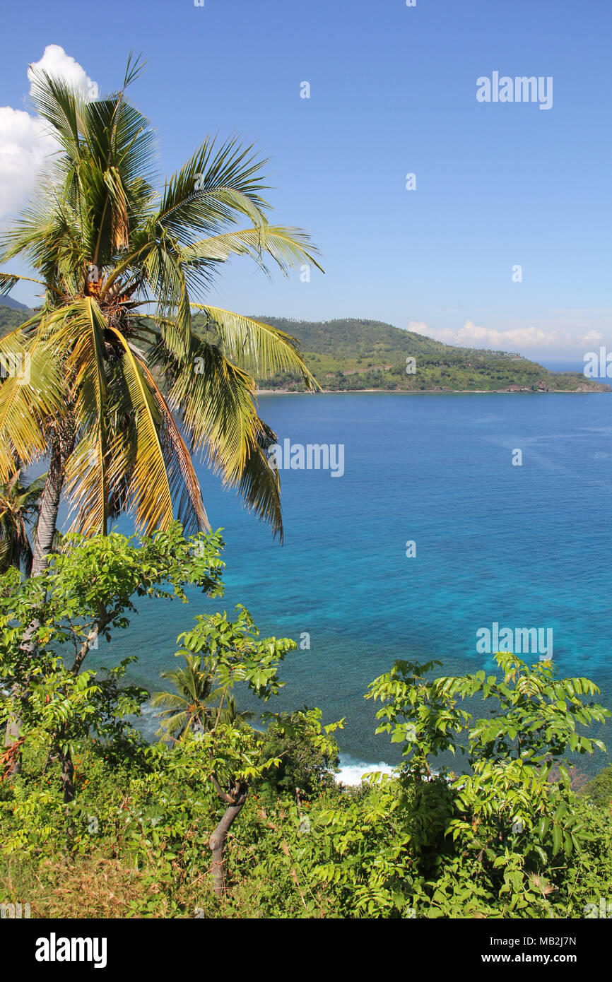 View of tropical plantations along the Lombok Strait of Indonesia Stock ...