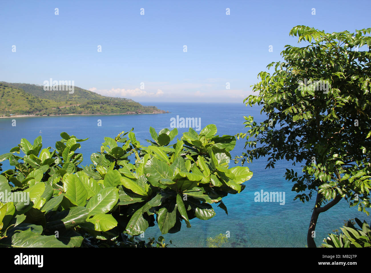 Tropical trees facing Lombok Strait in Indonesia Stock Photo - Alamy
