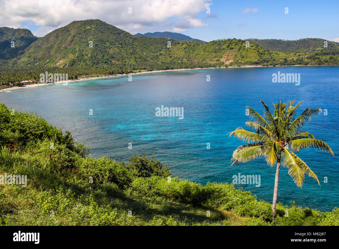 Wonderful view in Lombok Strait, Indonesia with an isolated coconut ...