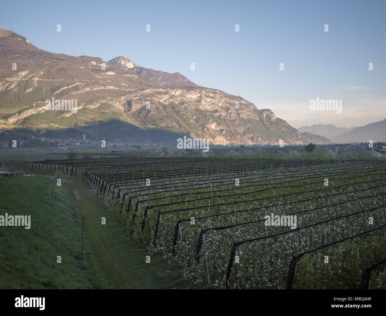 rovereto and vallagarina valley Stock Photo - Alamy