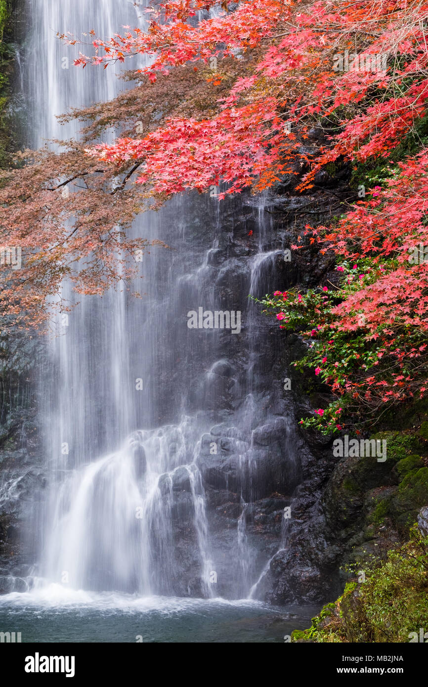 Minoo hi-res stock photography and images - Alamy
