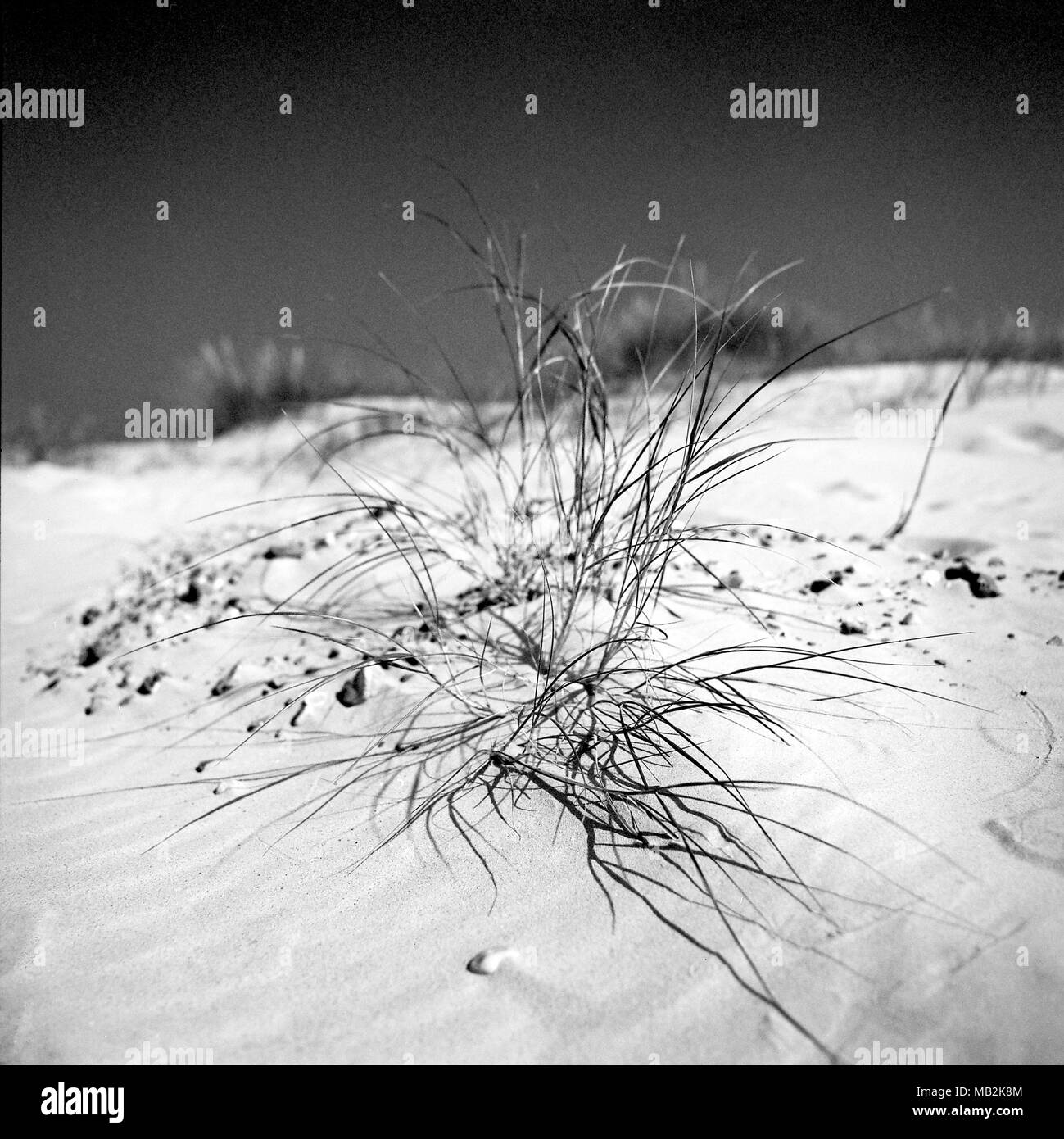 Photo next Black and White Stock Photos & Images - Alamy