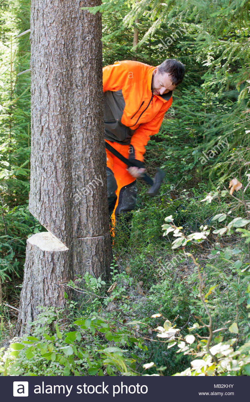 Hammer Action Stock Photos & Hammer Action Stock Images - Alamy