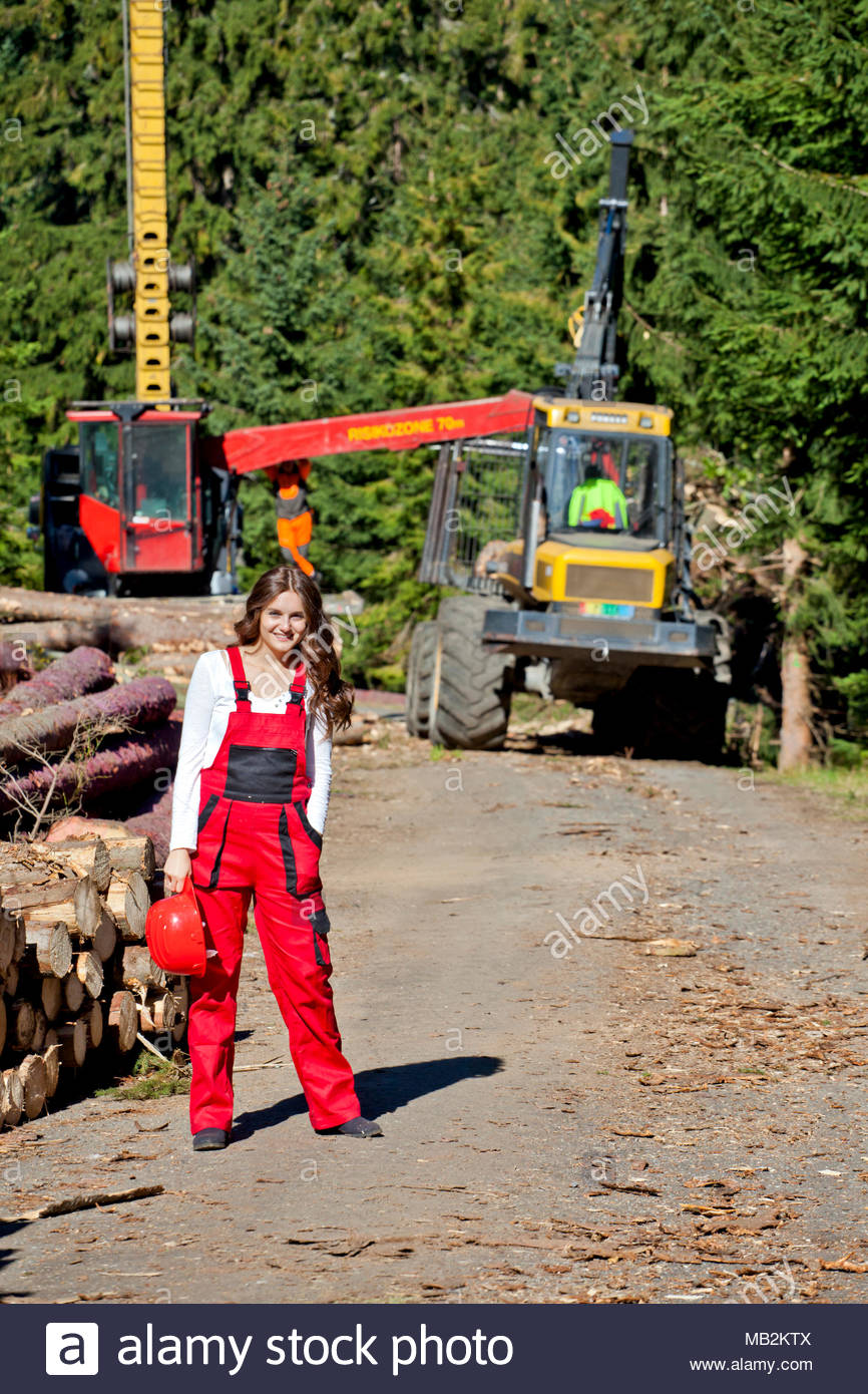 Lumber Industry Harvesting Stock Photos & Lumber Industry Harvesting ...